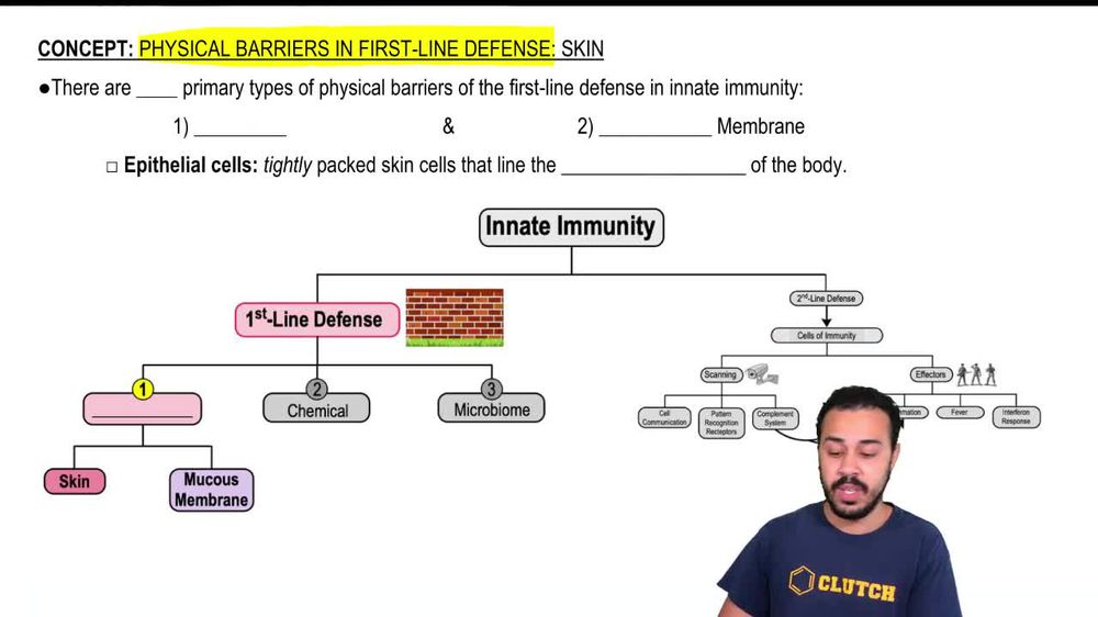 Innate Immunity Physical Barrier