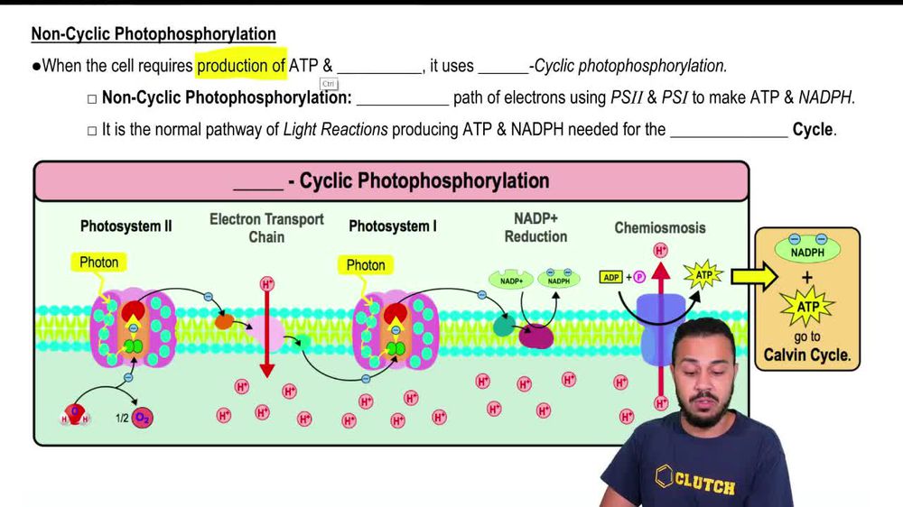 Noncyclic Photophosphorylation