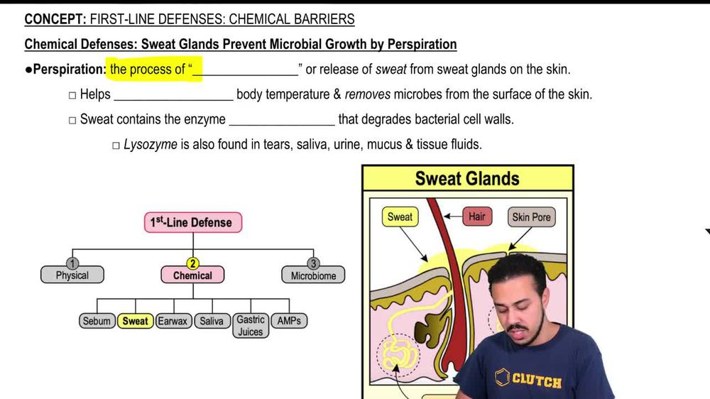 Chemicals In Saliva