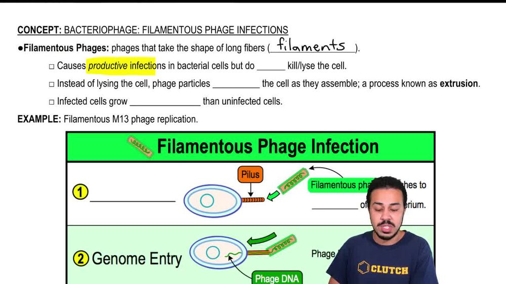Bacteriophage Envelope