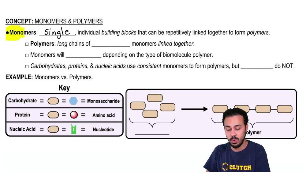 Polymers And Monomers Examples