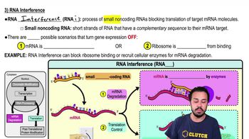 Eukaryotic Post-Transcriptional Regulation | Channels for Pearson+