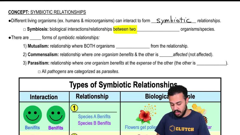 Symbiosis Relationships