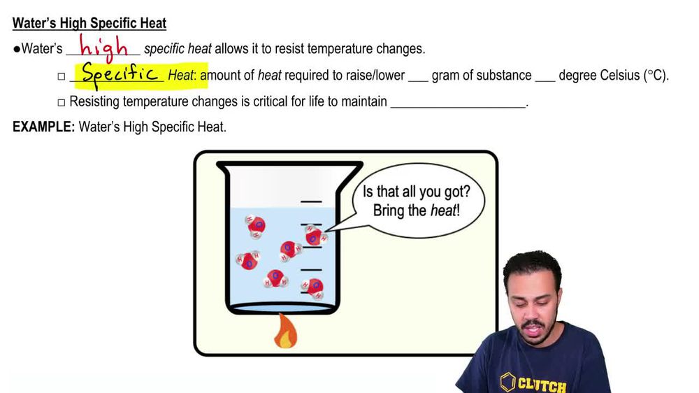 High Specific Heat Of Water