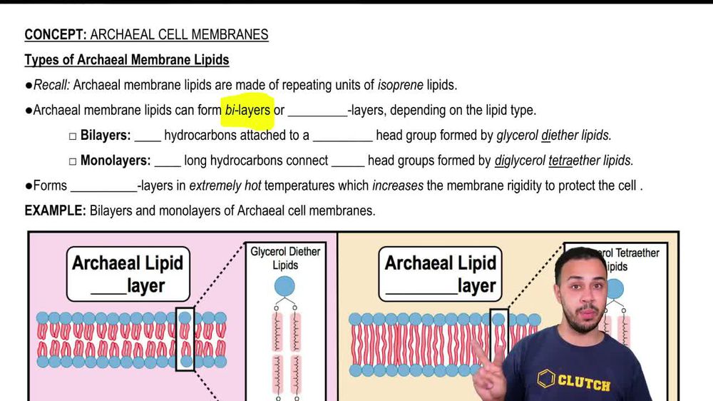 Archaeal Cell