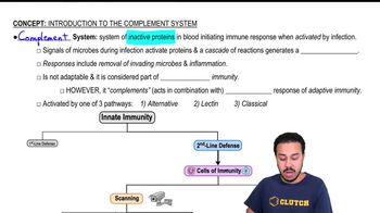 Introduction to the Complement System | Channels for Pearson+