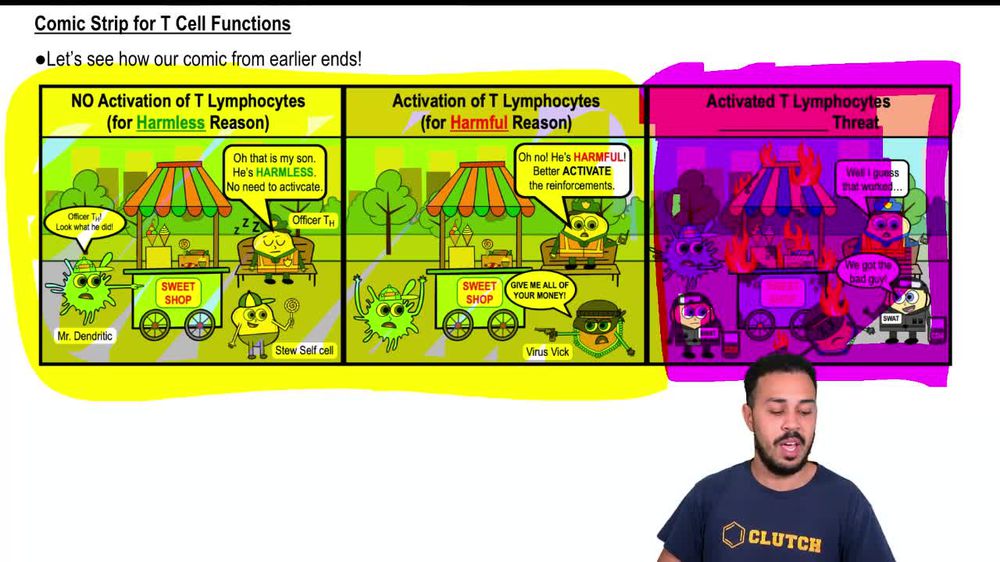 Cellular Respiration Comic Strip