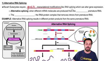 Eukaryotic Post-Transcriptional Regulation | Channels for Pearson+