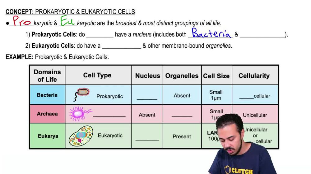 Prokaryotic And Eukaryotic Cells Table