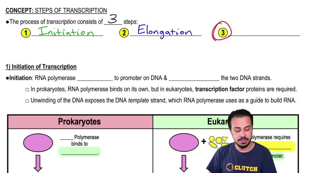 Transcription Initiation Diagram