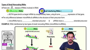 Eukaryotic Post-Transcriptional Regulation | Channels for Pearson+