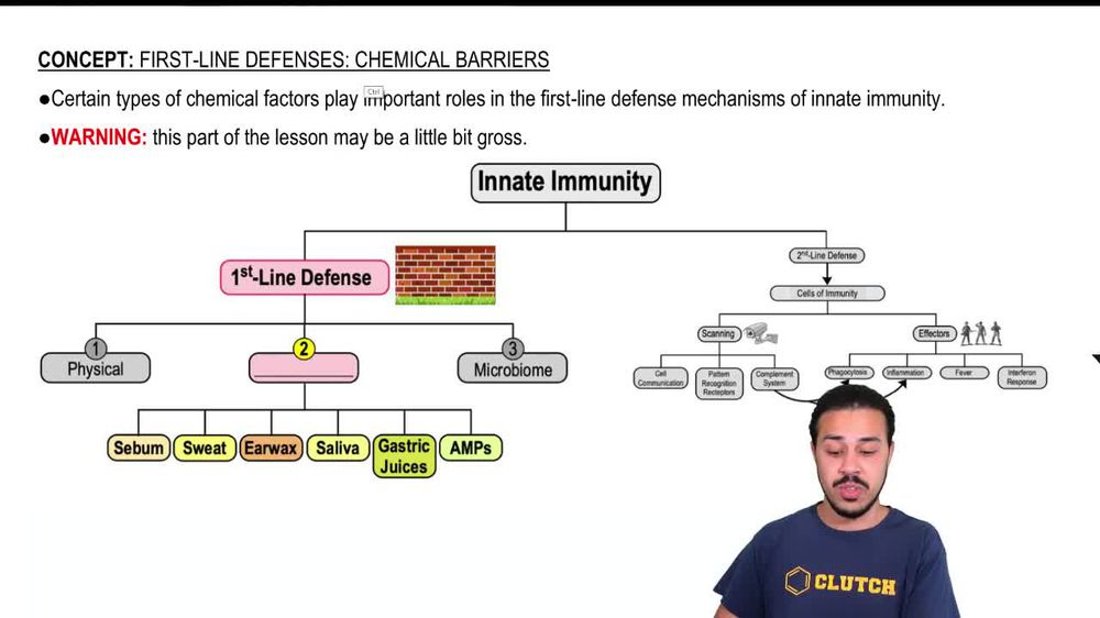 Innate Immunity Concept Map