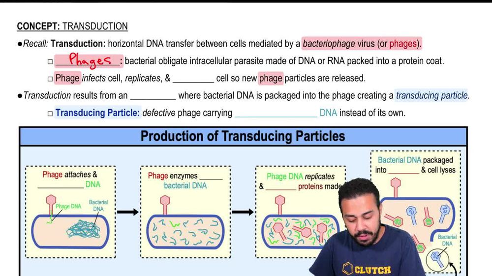 Transduction In Bacteria