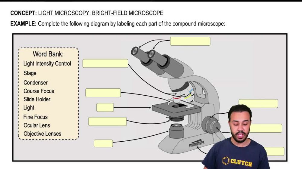 Field Microscope Lenses