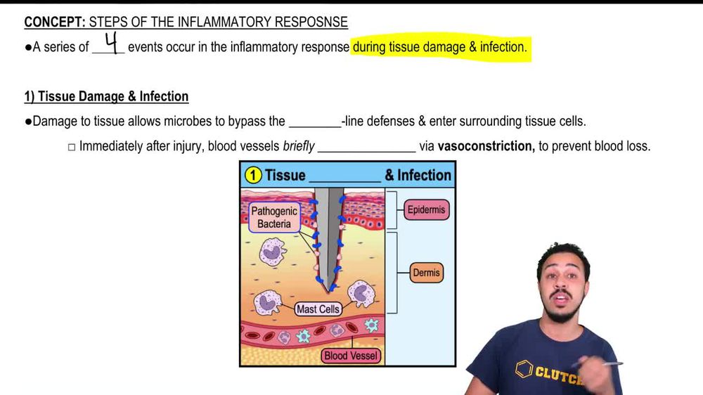 Inflammatory Response Steps