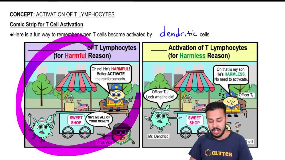 Cellular Respiration Comic Strip