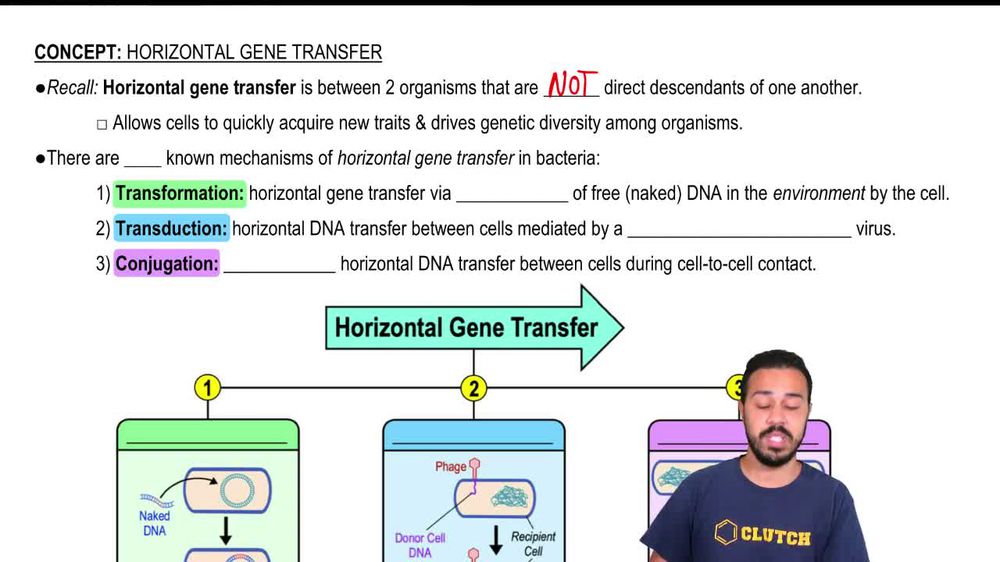 Horizontal Gene Transfer Transformation