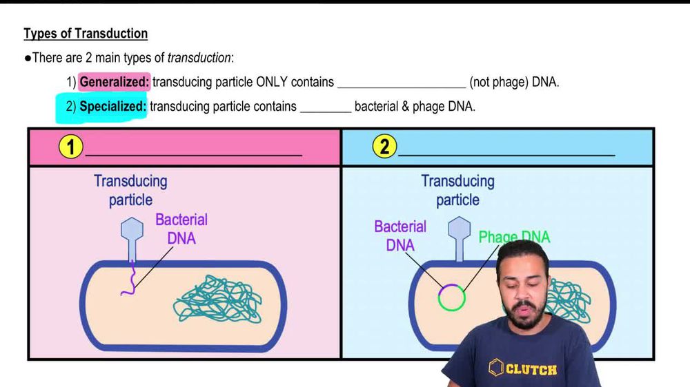 Transduction In Bacteria