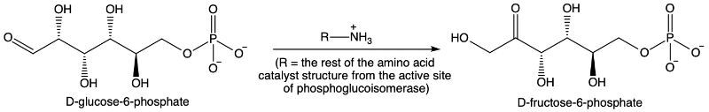 Phosphoglucoisomerase catalyzes the isomerization of D-glucose-6 ...
