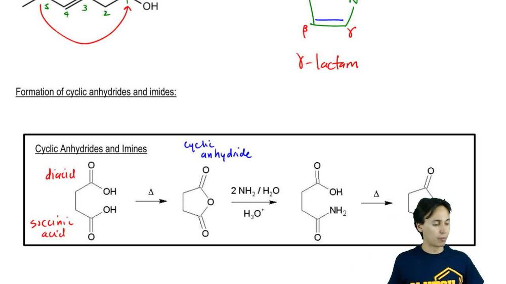 Cyclic Ester Hydrolysis