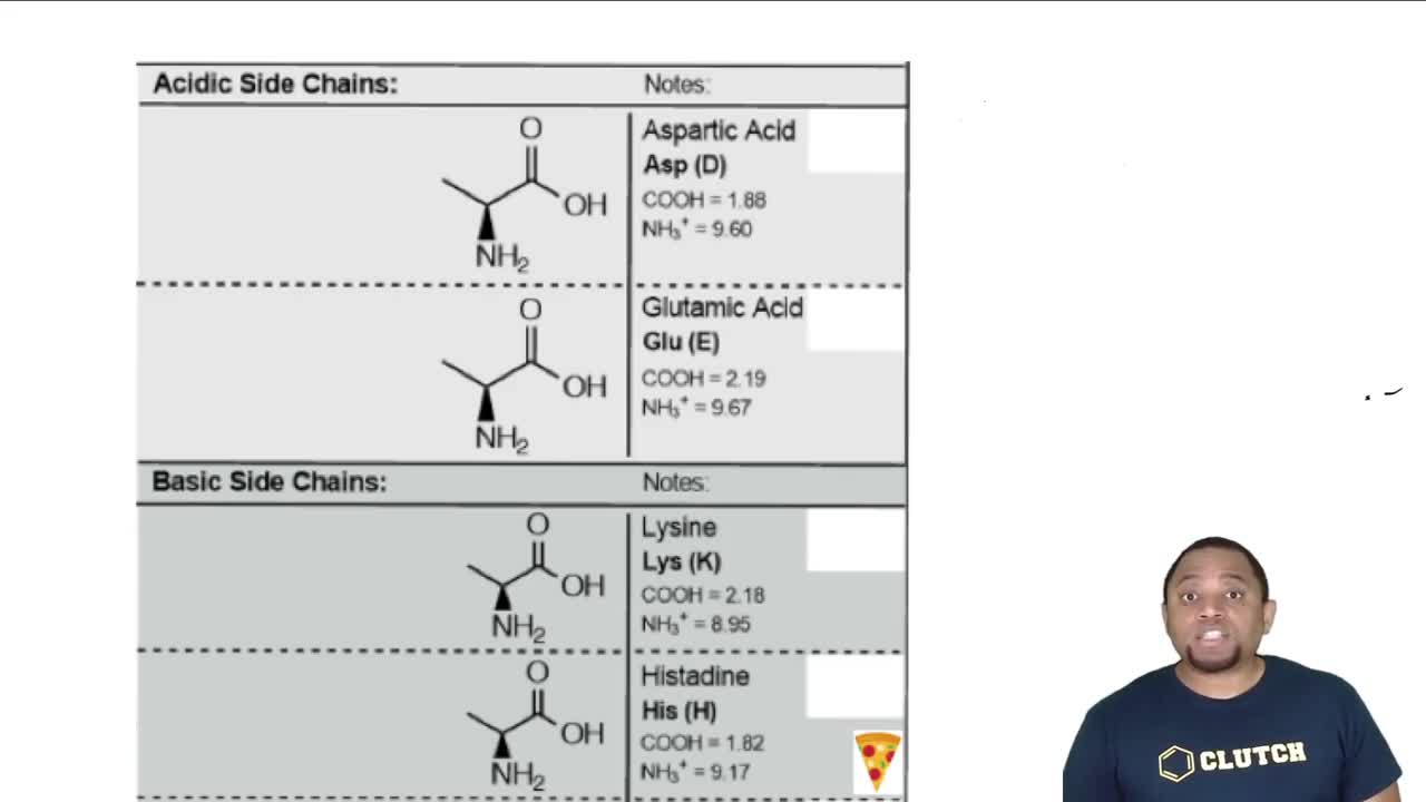 Essential Amino Acids With Side Chains