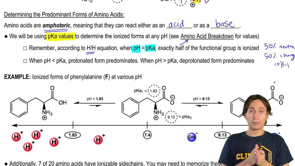 Glycine Structure At Ph 7