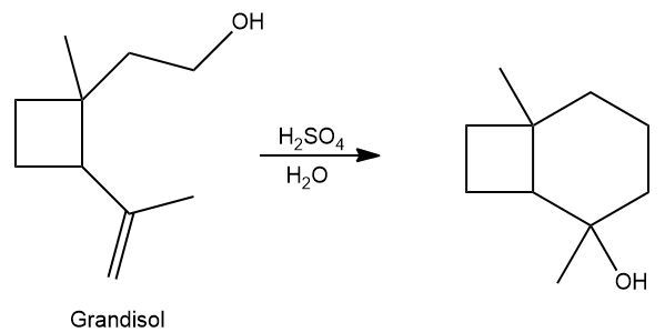 Addition Reaction Practice Problems | Channels for Pearson+