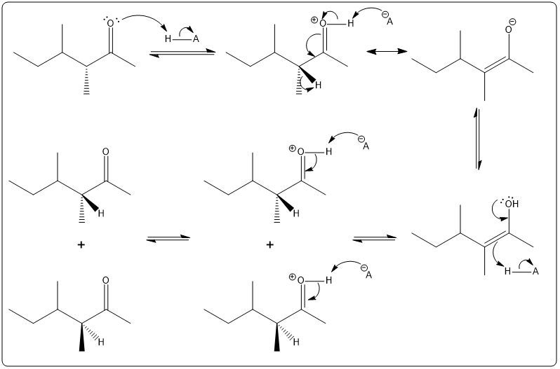 Propose the acid-catalyzed mechanism of interconversion of (3R ...