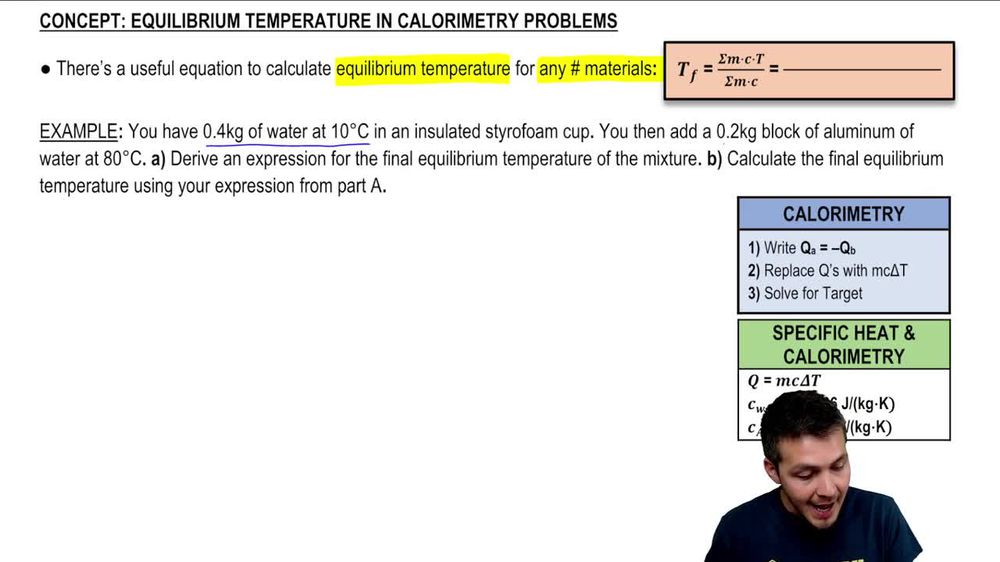 Physics Equilibrium Calculator