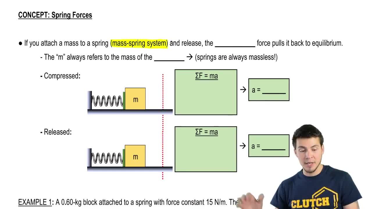 Spring Force Examples