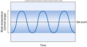 Anatomy & Physiology Study Guide: Key Concepts Explained | Notes