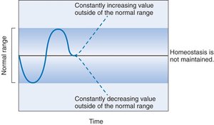 Anatomy & Physiology Study Guide: Key Concepts Explained | Notes