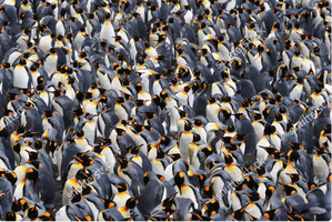 General Biology Study Guide: States of Matter & Changes | Notes