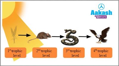 General Biology Community Ecology Study Guide | Notes