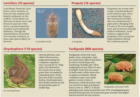 General Biology Invertebrates Study Guide – Key Concepts | Notes