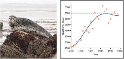 General Biology Study Guide: Ecology & Population Dynamics | Notes