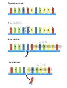 General Biology Study Guide: Evolution & Natural Selection | Notes
