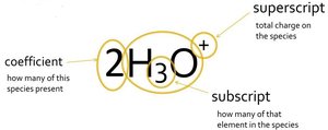 Introduction to Chemistry Study Guide: Elements & Compounds | Notes
