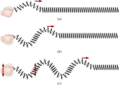 Physics Waves & Sound Study Guide: Key Concepts Explained | Notes