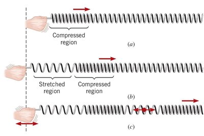 Physics Waves & Sound Study Guide: Key Concepts Explained | Notes
