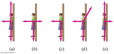 Physics Study Guide: Principles, Forces & Applications | Notes