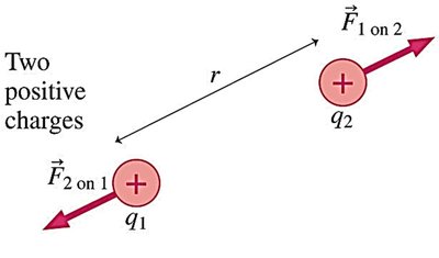 Physics Electric Fields & Forces Study Guide | Key Concepts | Notes