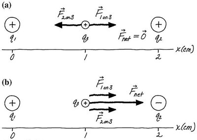 Physics Electric Fields & Forces Study Guide | Key Concepts | Notes