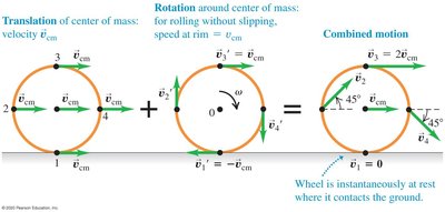 Physics Study Guide: Rolling Motion, Angular Momentum, Equilibrium | Notes
