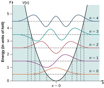 Physics Harmonic Oscillator Study Guide: Quantum Energy | Notes